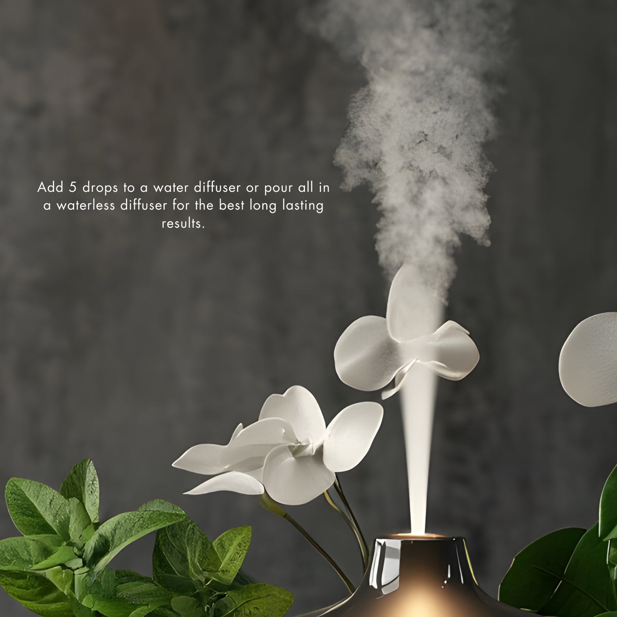 Aria Aroma by Hey Beautiful – Elegant Rose & Lychee Signature Scent